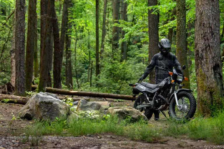 2021 Yamaha TW200 Guide | Total Motorcycle