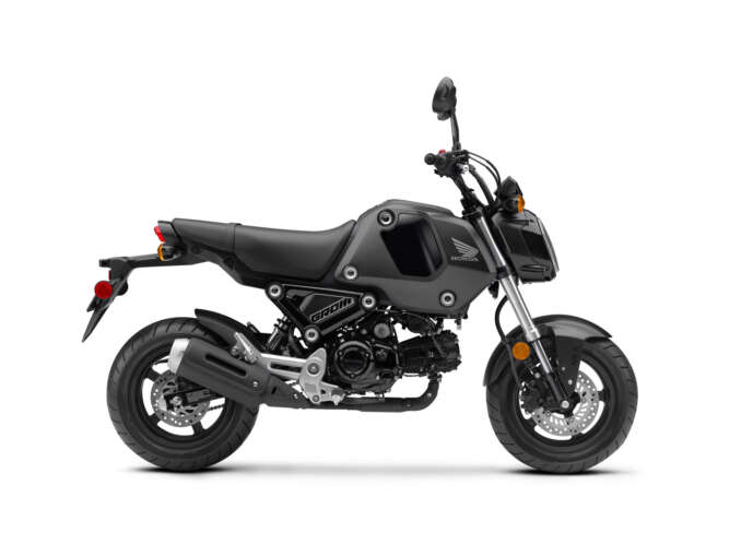 2023 Honda Ruckus Guide | Total Motorcycle