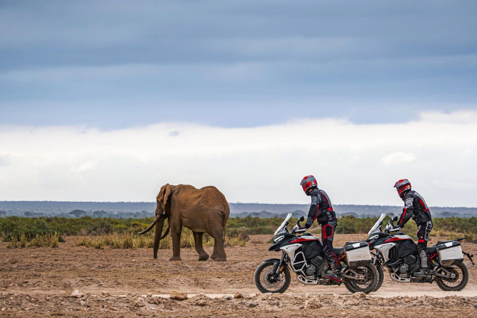 Most Popular Ducati Motorcycle selling 10000 worldwide | Total Motorcycle