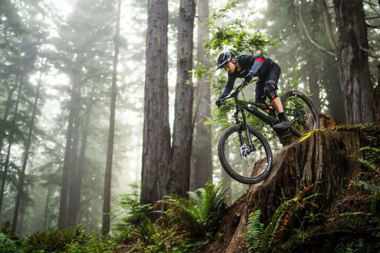 2023 Yamaha YDX-Moro05 Guide | Total Motorcycle